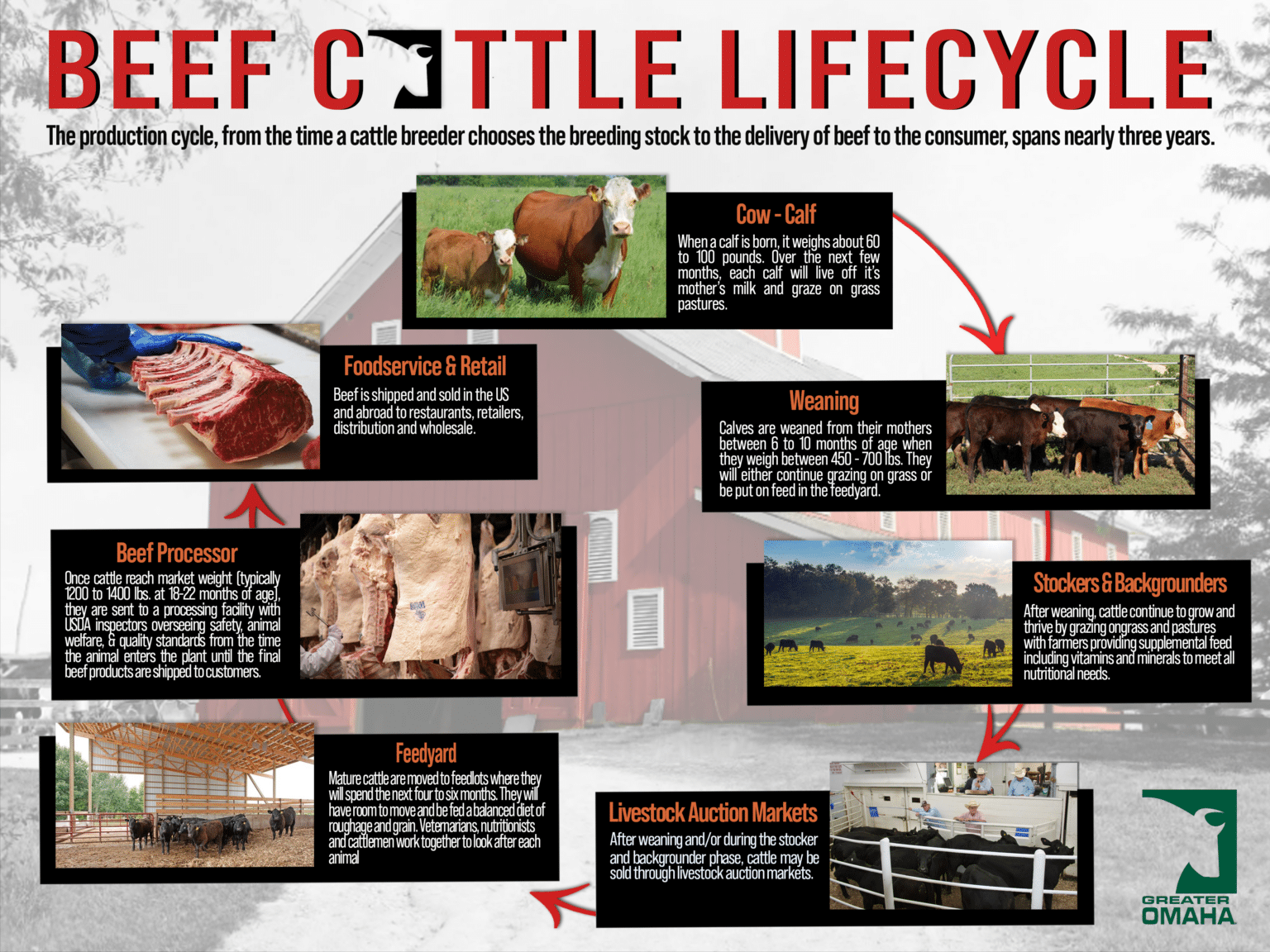 Brand Story - Greater Omaha Packing